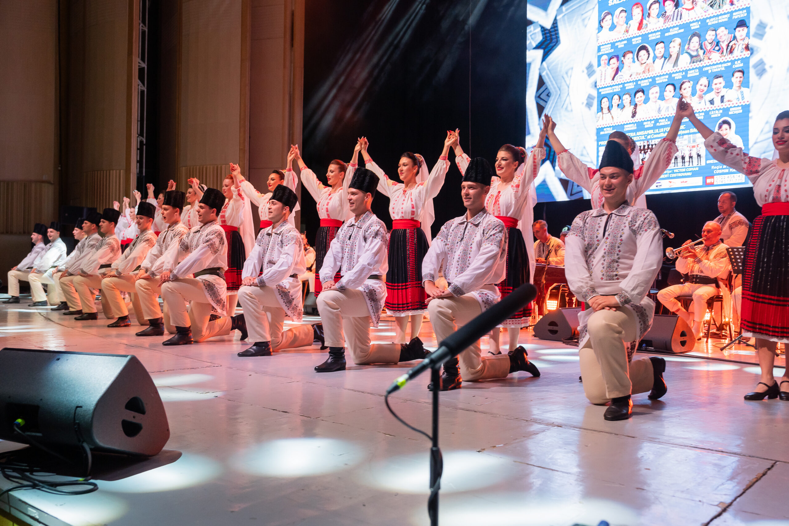 Ansamblul Folcloric Profesionist „Busuiocul” - CIOFF România